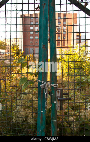 Berlin, Germany, vacant lot in the line of road Stock Photo - Alamy
