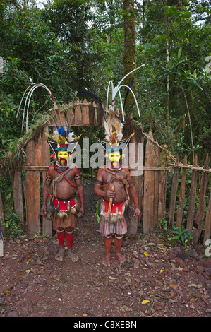 Makara Bird View Lodge Tari Southern Highlands Papua New Guinea Stock ...