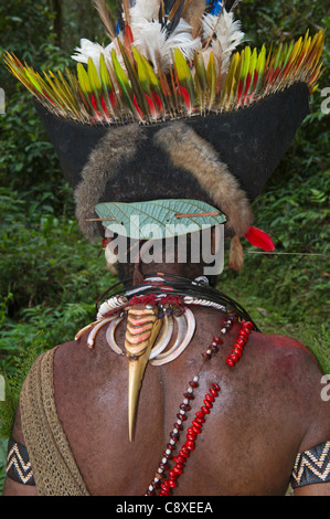 Face of Huli Wig Man Tari Valley Papua New Guinea Stock Photo - Alamy