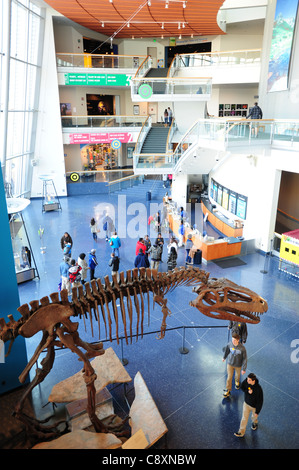 Maryland Science Museum, Baltimore, MD, USA Stock Photo - Alamy