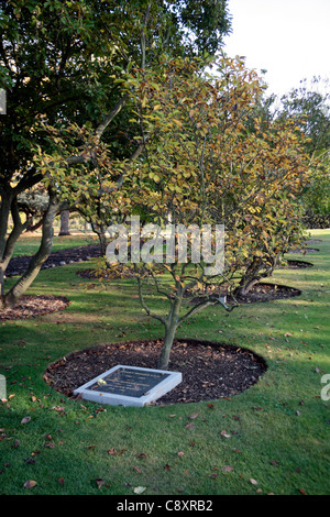 Memorial plaque to Bobby Moore, the England captain in the 1966 World ...