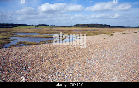 Freshwater Dingle marshes in lagoon formed by the beach bar between ...
