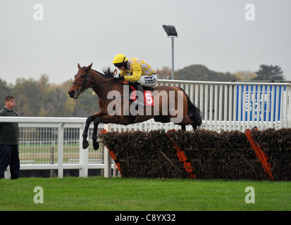 Pateese ridden by Matt Griffiths jumps the last flight of hurdles to ...
