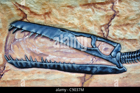 Fossil jaw bone with teeth of dinosaur Tyrannosaurus maxilla ...