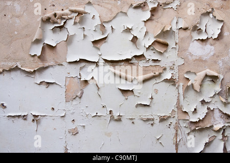Paint peeling off plaster wall in a derelict building Stock Photo - Alamy