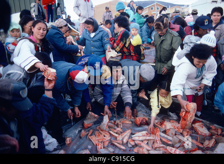 Inuit fisherman with freshly caught Beluga Whale meat for the community ...
