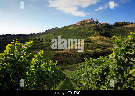 Staufenberg castle, near Durbach, Ortenau region, Black Forest, Baden ...