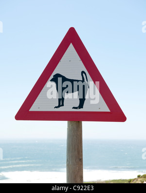 A Baboon warning sign in South Africa Stock Photo - Alamy