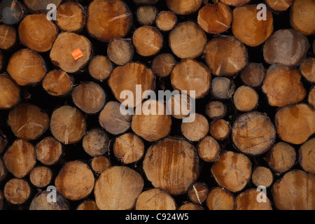 Stacked Sitka Spruce logs harvested from Chiniak area, Kodiak Island ...