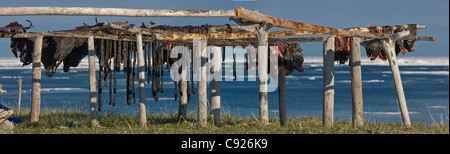 seal meat on drying rack inuit settlement greenland denmark Stock Photo ...