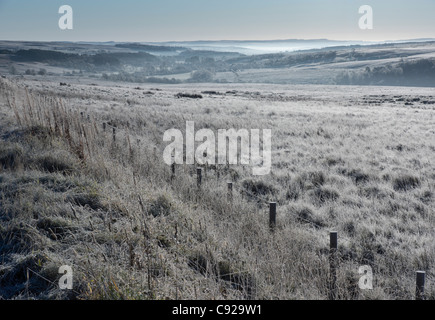 Redesdale in Northumberland, UK - a frosty morning in November, looking ...