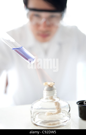 Test tube with liquid over flame Stock Photo - Alamy