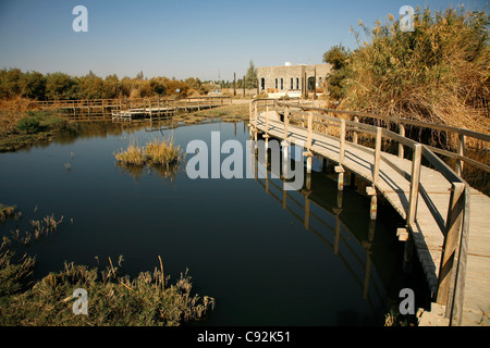 Azraq Wetland Reserve, Azraq, Jordan Stock Photo - Alamy