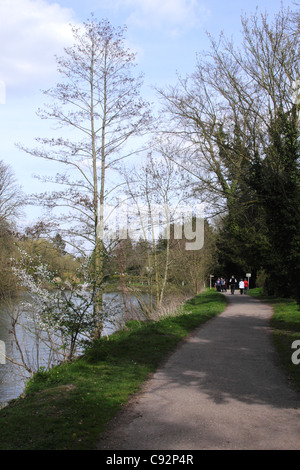 Spring river scene at Sonning Berkshire Stock Photo - Alamy