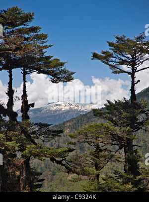 snow capped himalayan mountain range under clear blue sky with scenic ...
