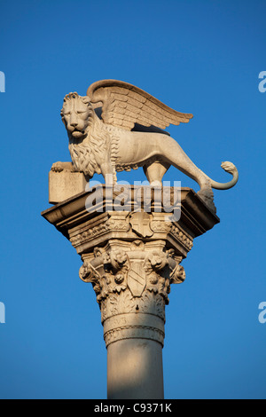 LEONE - LION Stock Photo - Alamy