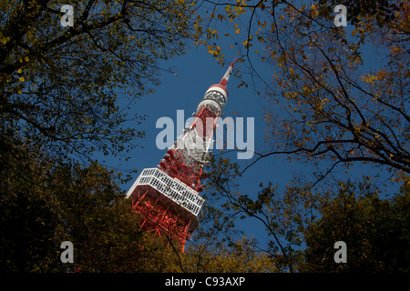 Tokyo Tower seen through winter trees. Tokyo, Japan Stock Photo - Alamy