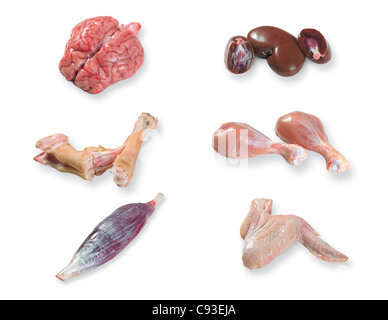 Anatomy of the cow organs Stock Photo - Alamy