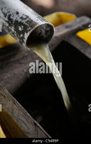 Sugar cane processed to produce alcohol in a plantation in Ecuador ...
