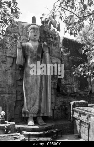 Awkana Buddha Statue, Awkana, Sri Lanka, Asia Stock Photo - Alamy