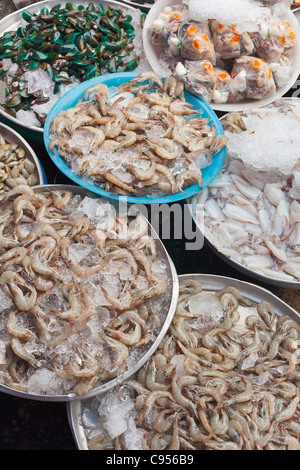 Assorted fresh fish, prawns and seafood displayed on crushed ice in a ...
