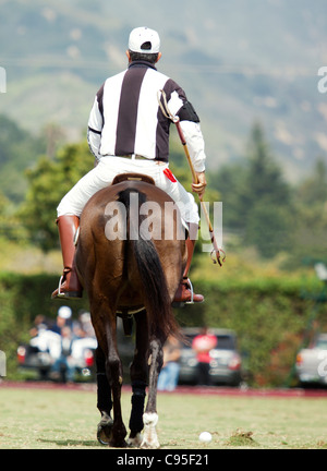Polo referee on his horse Stock Photo - Alamy