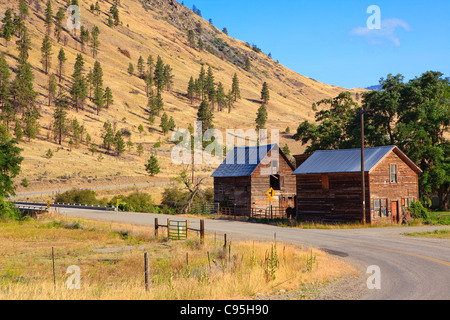 Image of Nighthawk, Washington Stock Photo - Alamy