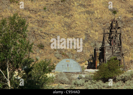 Image of Nighthawk, Washington Stock Photo - Alamy