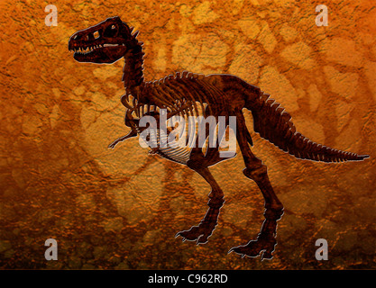 Tyrannosaurus rex dinosaur, computer artwork. T. rex was one of the ...