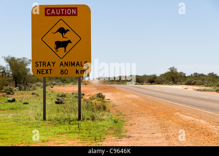 Australian road sign warning of stray koala bears Stock Photo - Alamy