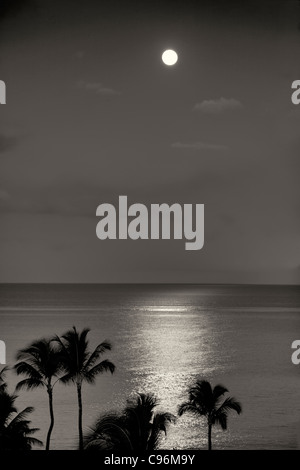 Moon setting over Maui, Hawaii Stock Photo - Alamy