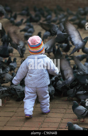 Nepali girl trying to catch pigeons Durbar square Kathmandu Nepal Stock ...
