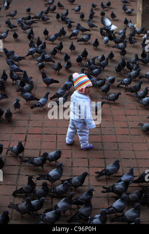 Nepali girl trying to catch pigeons Durbar square Kathmandu Nepal Stock ...