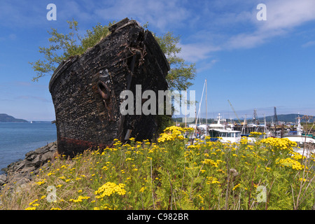 Hull of the 1917 four-masted schooner La Merced used as a breakwater at ...
