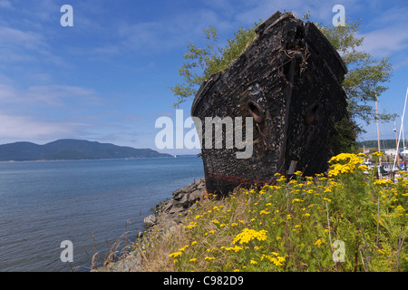 Hull of the 1917 four-masted schooner La Merced used as a breakwater at ...