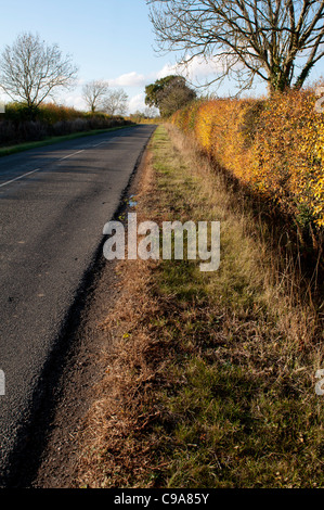 Empty road in autumn, Warwickshire, England, UK Stock Photo - Alamy