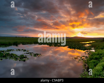 A scenery of a national wildlife refuge at sunset Stock Photo - Alamy