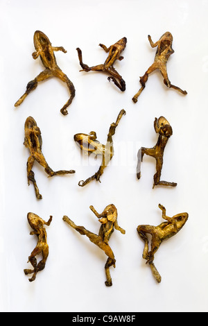 Fried Frogs a delicacy in South East Asia - An example of the strange ...