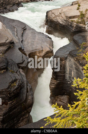 Water flowing in rapids in a canyon in autumnal Oulanka National Park ...