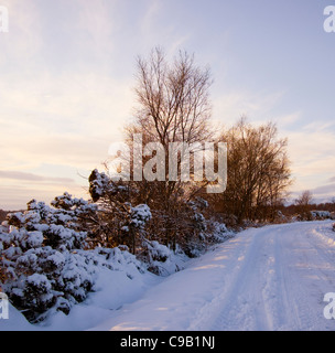 Snow covered lane in the Scottish Borders in the United Kingdom Stock ...