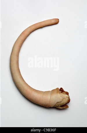 Raw Pigs Tails Stock Photo - Alamy