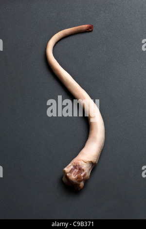 Raw Pigs Tails Stock Photo - Alamy