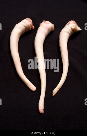 Raw Pigs Tails Stock Photo - Alamy
