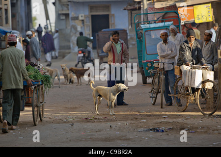 Village street Gujarat India Stock Photo - Alamy