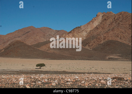 Richtersveld, Northern Cape Province, South Africa Stock Photo - Alamy