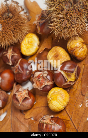 Typical delicious warm chestnuts in autumn season Stock Photo - Alamy