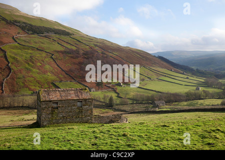 Stony Limestone Barns in the Landscape and Countryside of Gunnerside ...