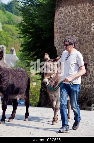 Donkey rides, France Stock Photo - Alamy
