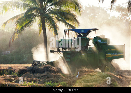 Indian combine harvester harvesting rice crop. Andhra Pradesh, India ...