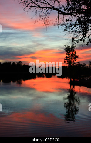 USA, Arizona, Yuma, Fortuna Pond at sunset Stock Photo - Alamy